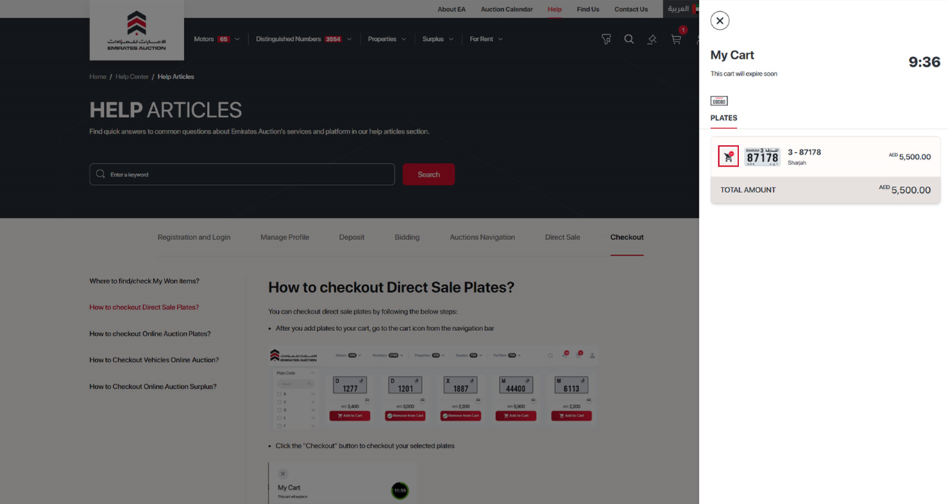 Emirates Auction Steps and Guidelines