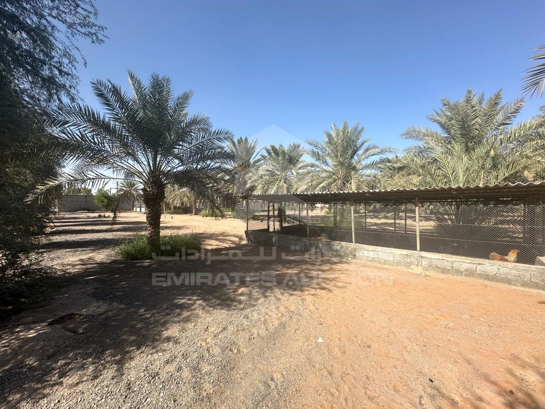 Farm for sale in UAE - 16504 | Emirates Auction