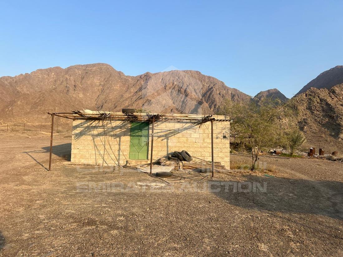 Agricultural Land for sale in UAE - 19868 | Emirates Auction