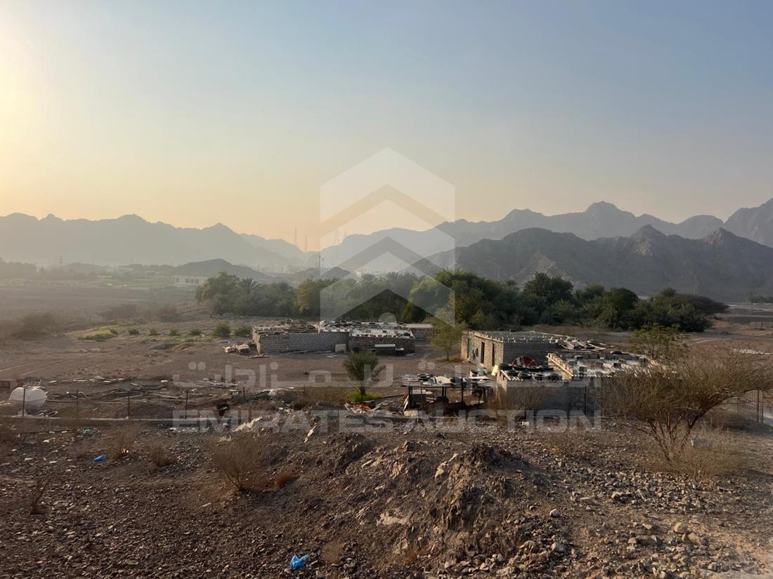 Agricultural Land for sale in UAE - 19868 | Emirates Auction