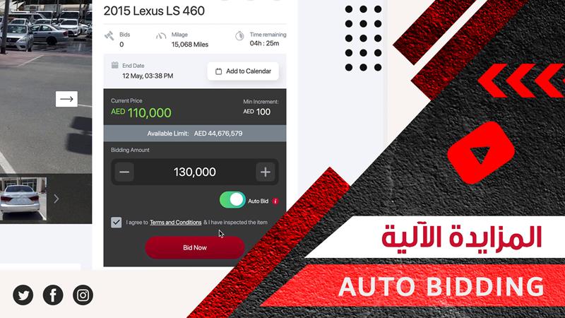 Emirates Auction Help and Assistance