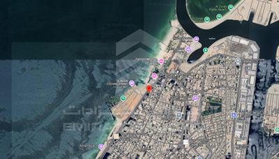 Previous Auctions | Emirates Auction