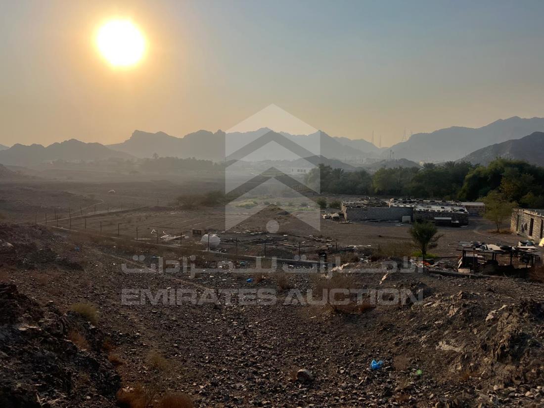 Agricultural Land for sale in UAE - 19868 | Emirates Auction