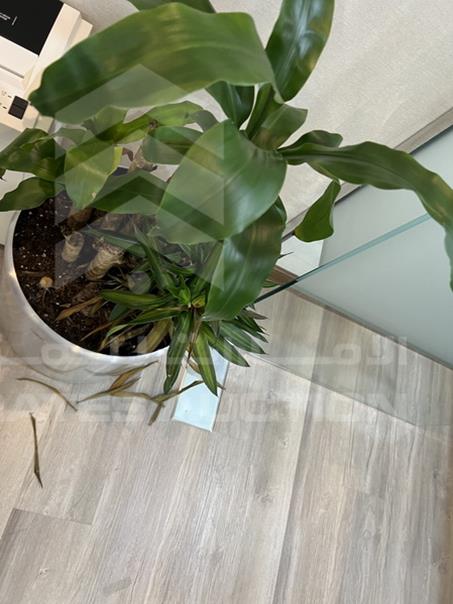 Office Furniture for sale in UAE - 525447 | Emirates Auction