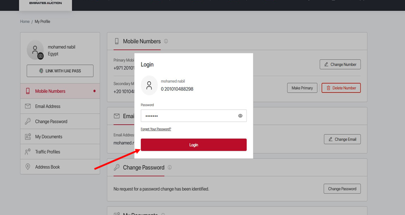 Emirates Auction Steps and Guidelines