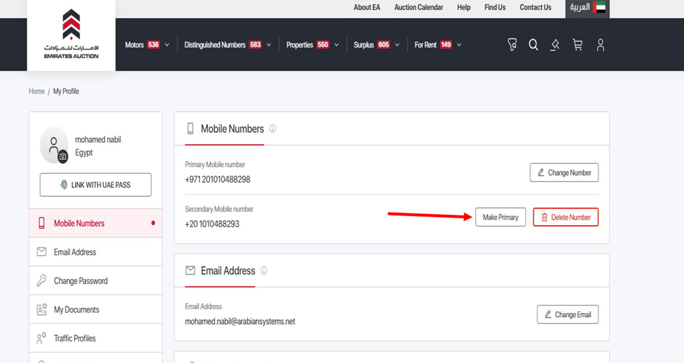 Emirates Auction Steps and Guidelines