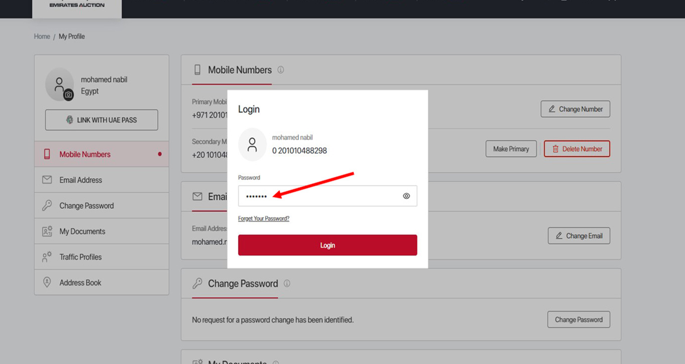 Emirates Auction Steps and Guidelines