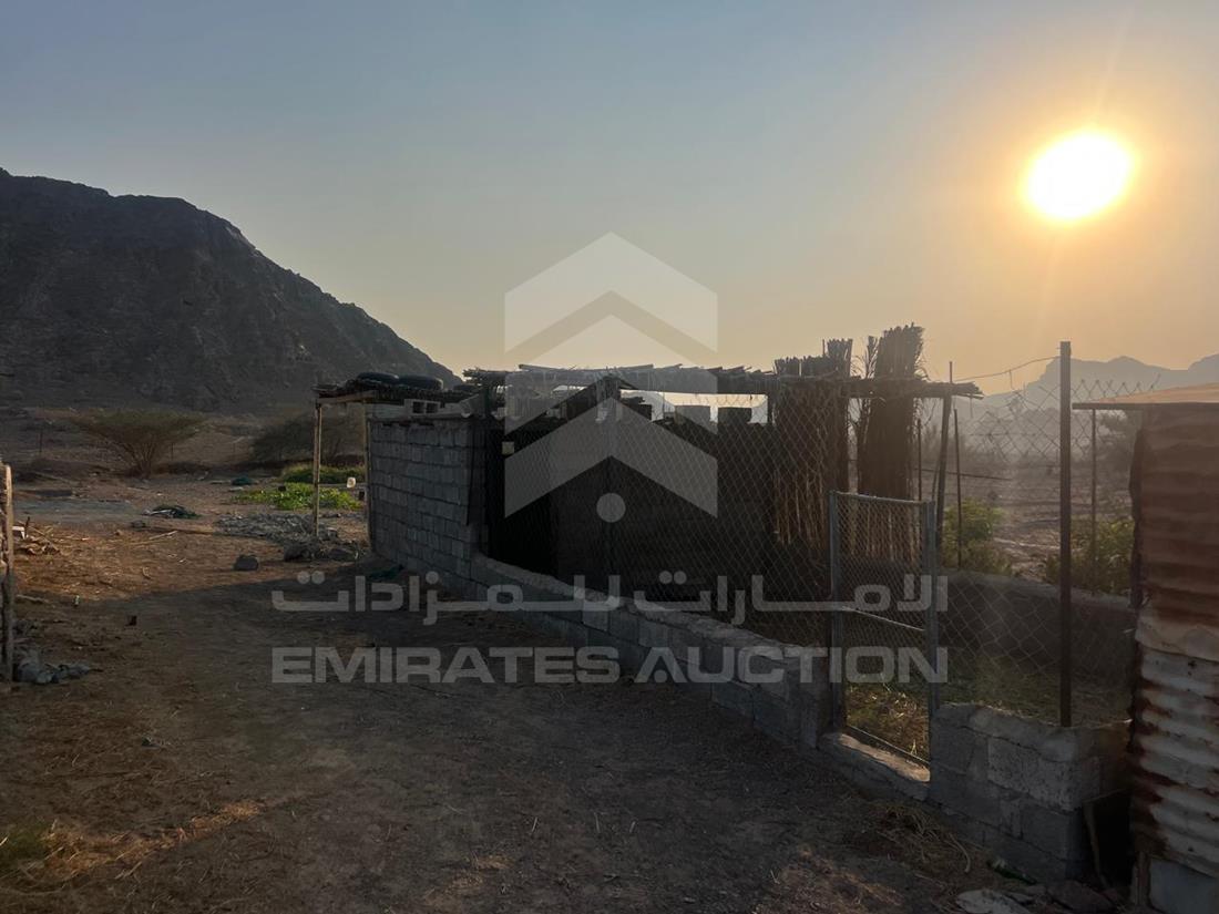 Agricultural Land for sale in UAE - 19868 | Emirates Auction