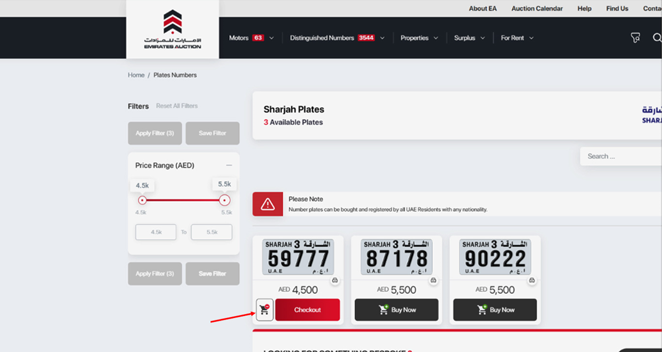 Emirates Auction Steps and Guidelines