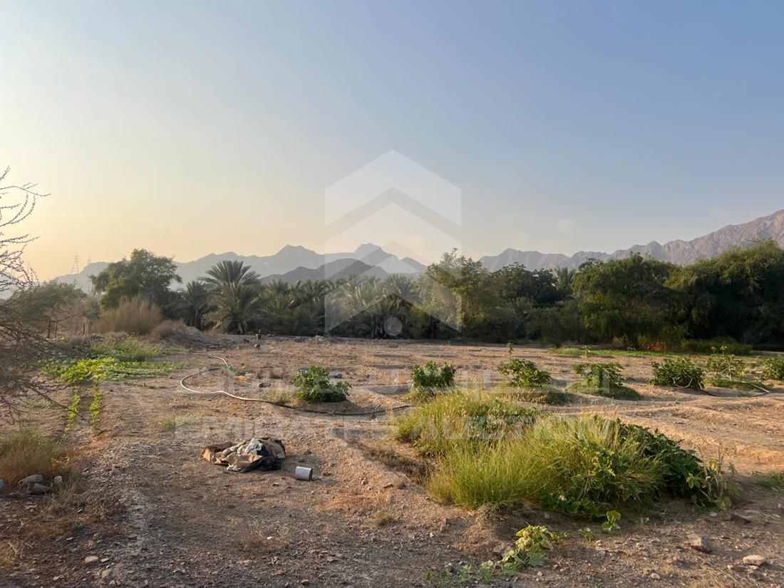 Agricultural Land for sale in UAE - 19868 | Emirates Auction