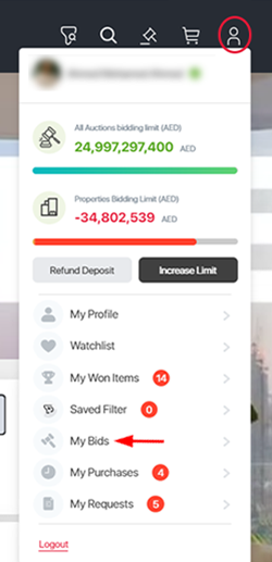 Emirates Auction Steps and Guidelines