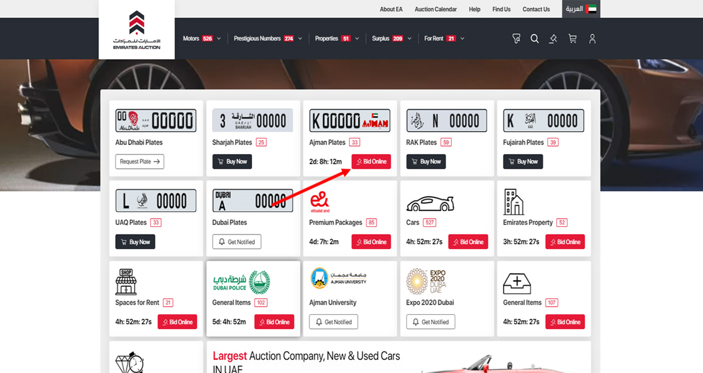 Emirates Auction Steps and Guidelines