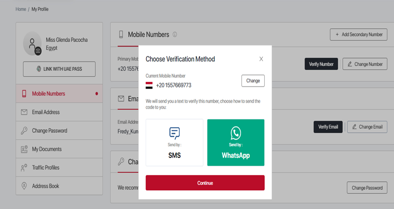 Emirates Auction Steps and Guidelines