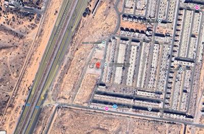 Previous Auctions | Emirates Auction