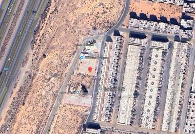 Previous Auctions | Emirates Auction